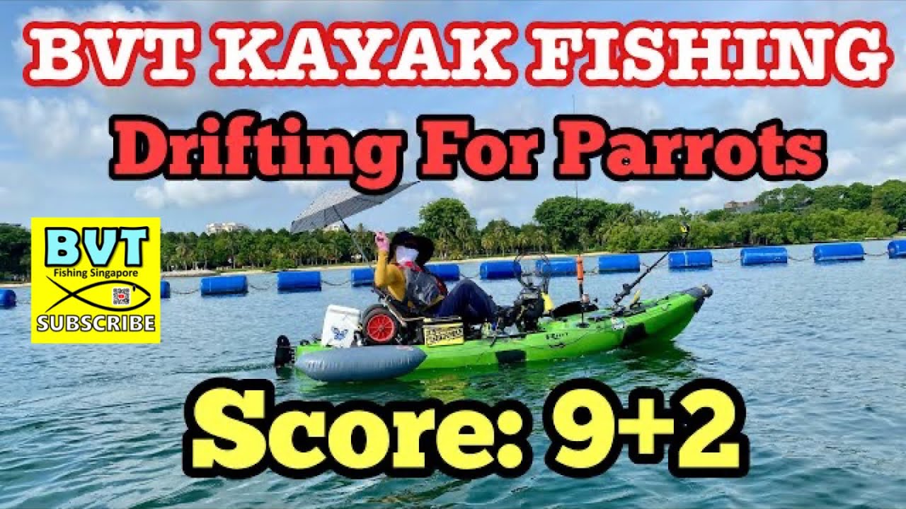 DRIFTING FOR PARROTS! BVT KAYAK FISHING (HARI RAYA) WED 21 Jul 21 - YouTube