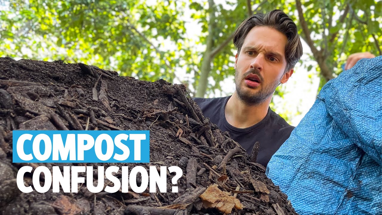 Your Most-Asked COMPOST Questions Answered! - YouTube