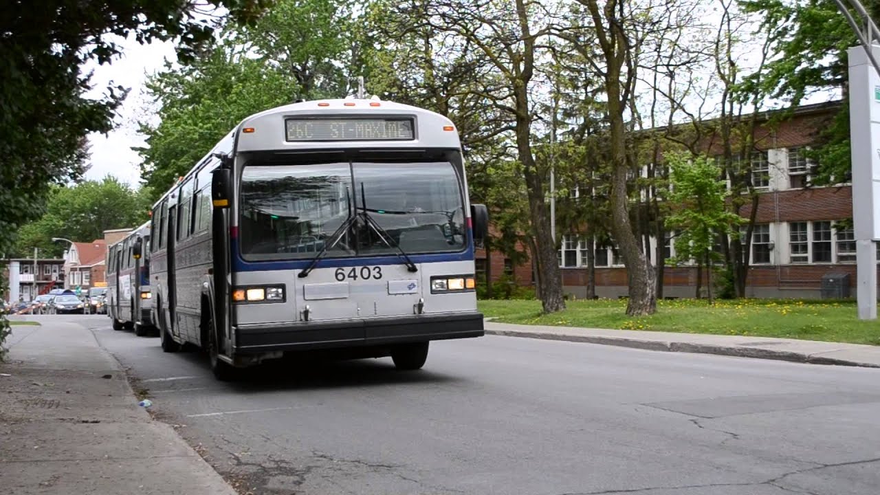 STL LAVAL NOVA BUS CLASSICS 6403 AND 6405 IN ACTION - YouTube