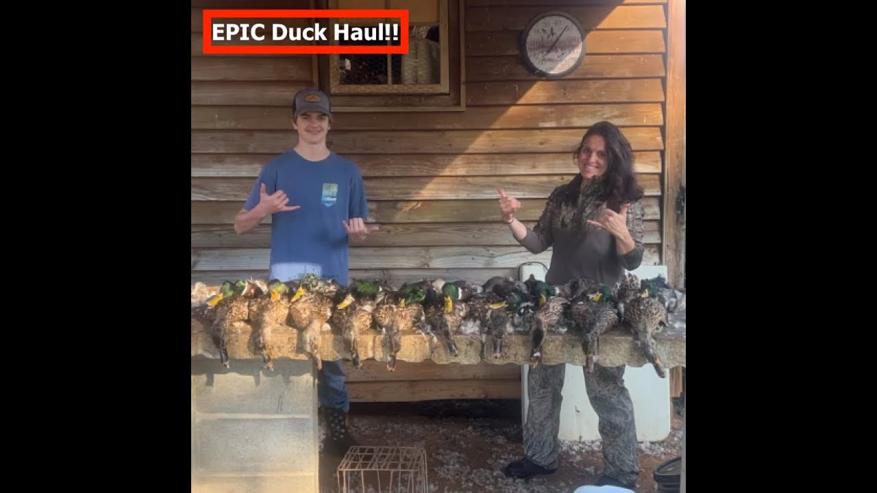Epic Duck Hunting in North Georgia!! We Limited Out in 45 Minutes!!! # ...