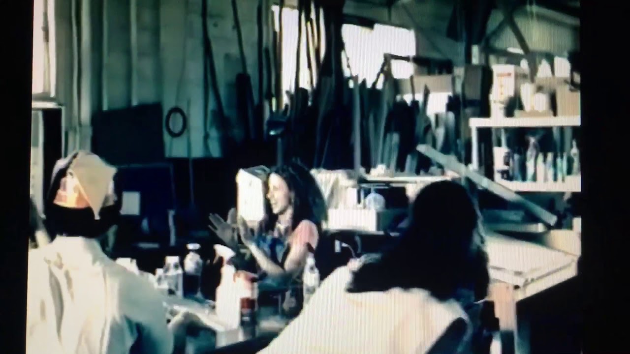 Grisel Toledo HMSA Commercial - YouTube