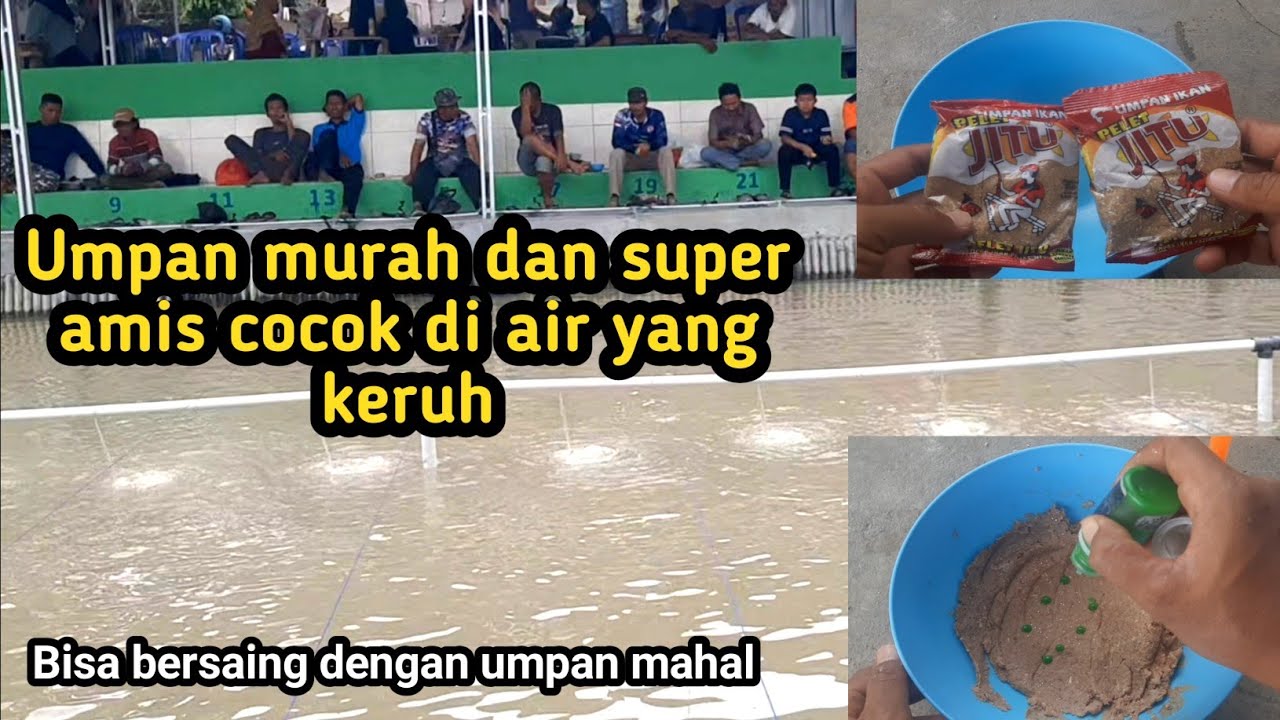 Umpan Jitu merah mampu bersaing dengan umpan mahal || Langsung tes di ...