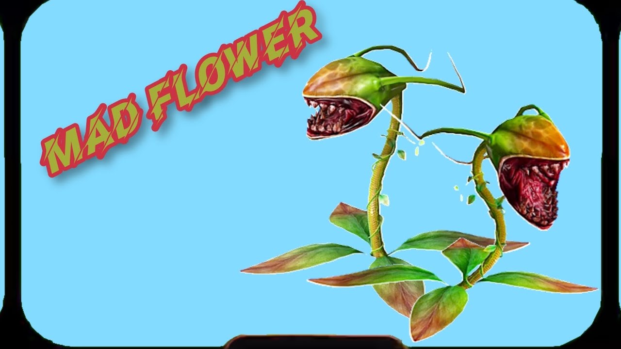 CRAZY FLOWER ANIMATION CHROMAKEY. VIDEO FOOTAGE OF A MONSTER PLANT ON A ...