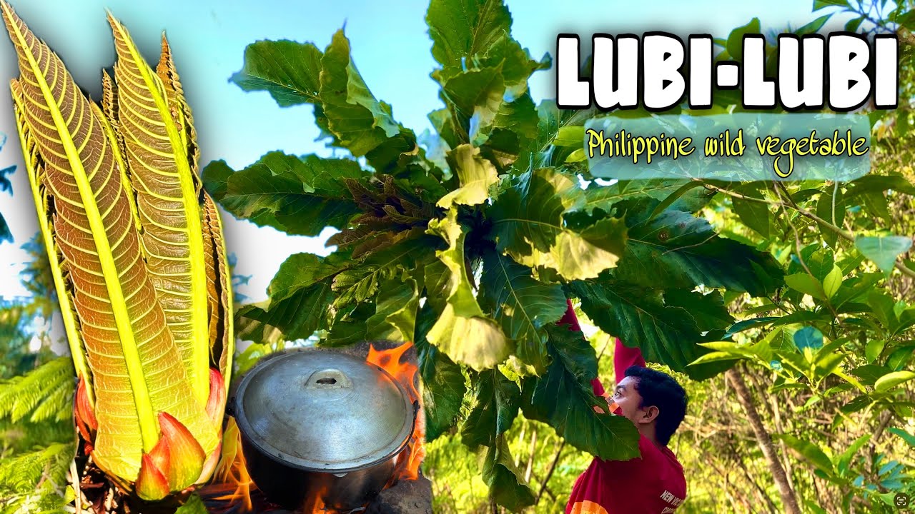Lubi-lubi a wild philippine vegetable - YouTube