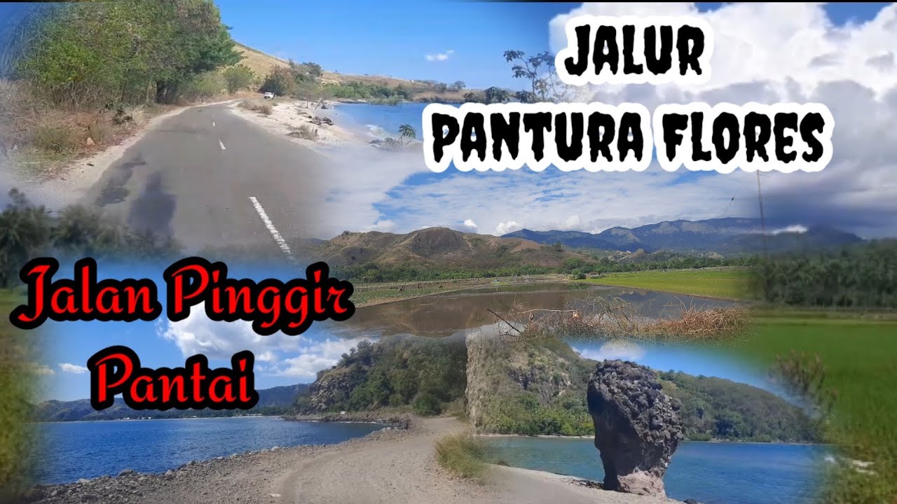 Jalan Pinggir Pantai Pemandangan yang bagus jalur pantura Flores - YouTube
