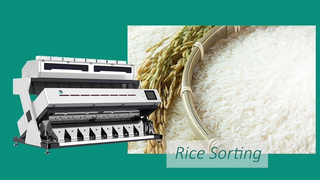 SG Rice Color Sorter Machine - YouTube