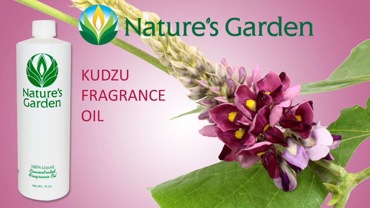 Kudzu Fragrance Oil- Natures Garden - YouTube