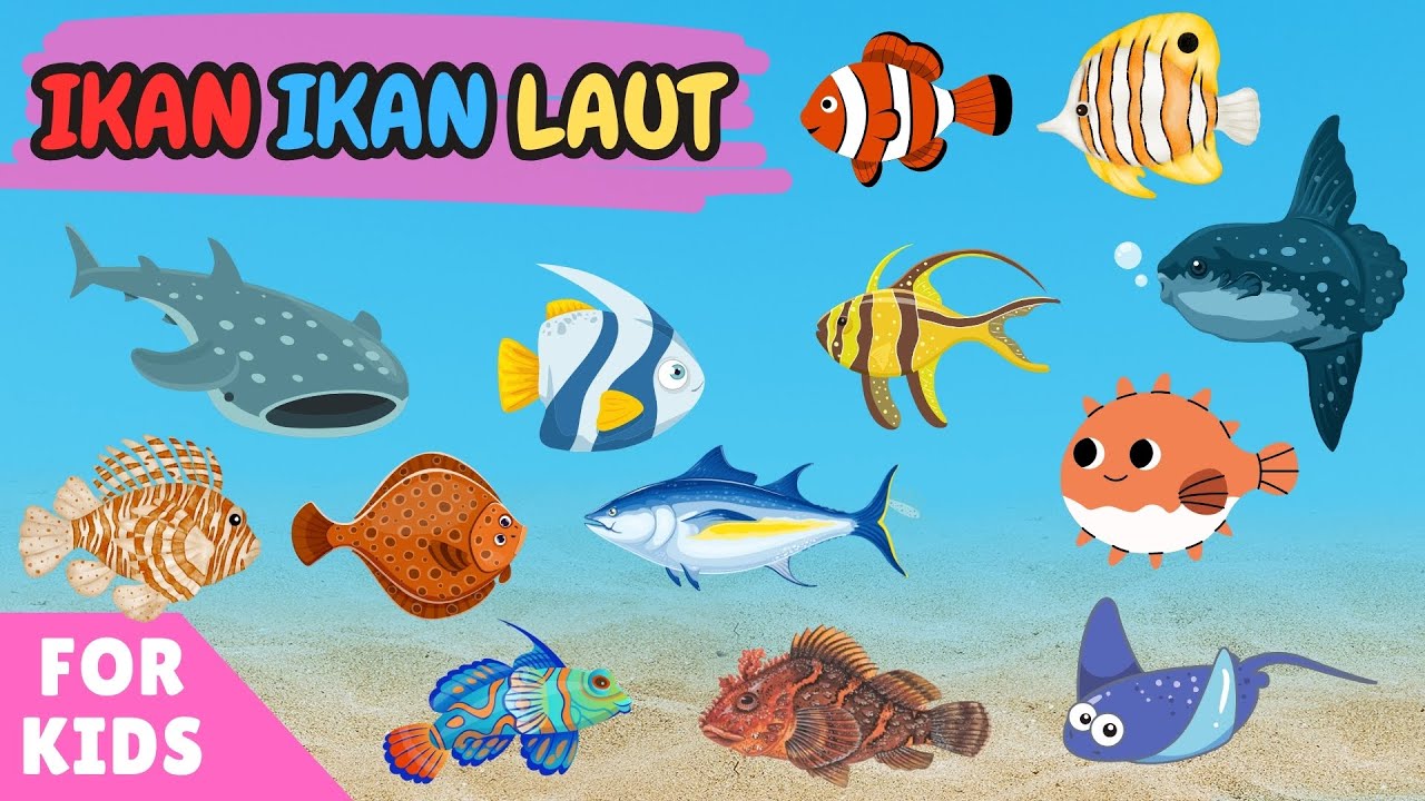 Ikan Ikan Laut | Mengenal Ikan Laut untuk anak anak | Learn sea fish ...