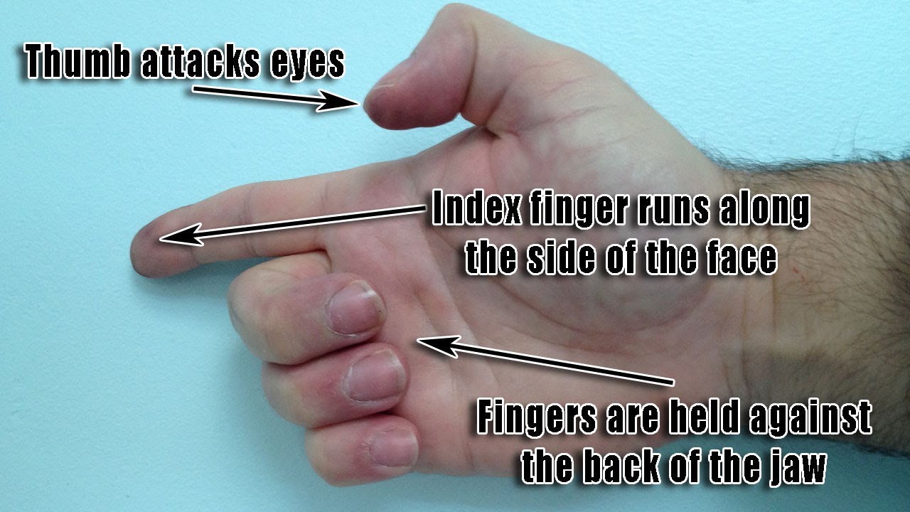 Practical Kata Bunkai: Unsu Ippon-Nukite (Finger Pokes) - YouTube