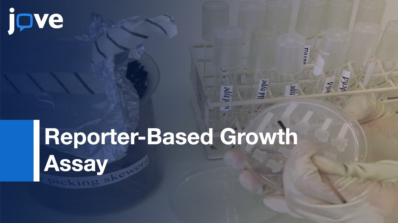 Reporter-Based Growth Assay For Systematic Analysis Of Protein ...