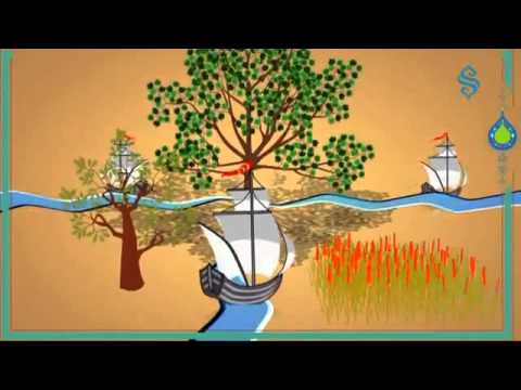 Osman Gazi ve Şeyhi Edebali - Minyatürlerle Osmanlı