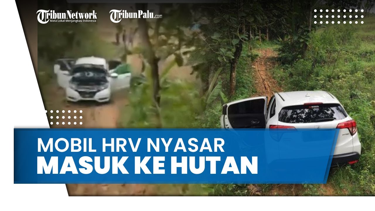 Viral Mobil HRV Nyasar Masuk ke Hutan di Pati karena Ikuti Arahan ...