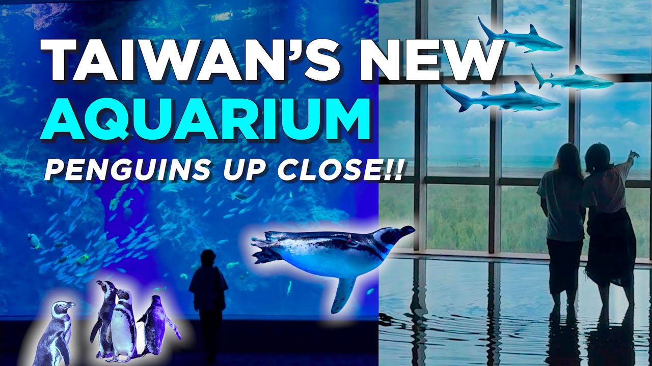 Taichung aquarium | Exploring Taiwan’s stunning new aquarium - YouTube
