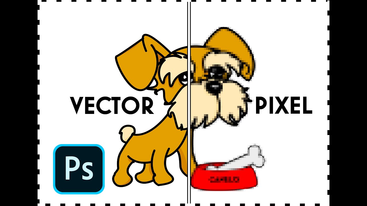 Cómo VECTORIZAR una IMAGEN - YouTube