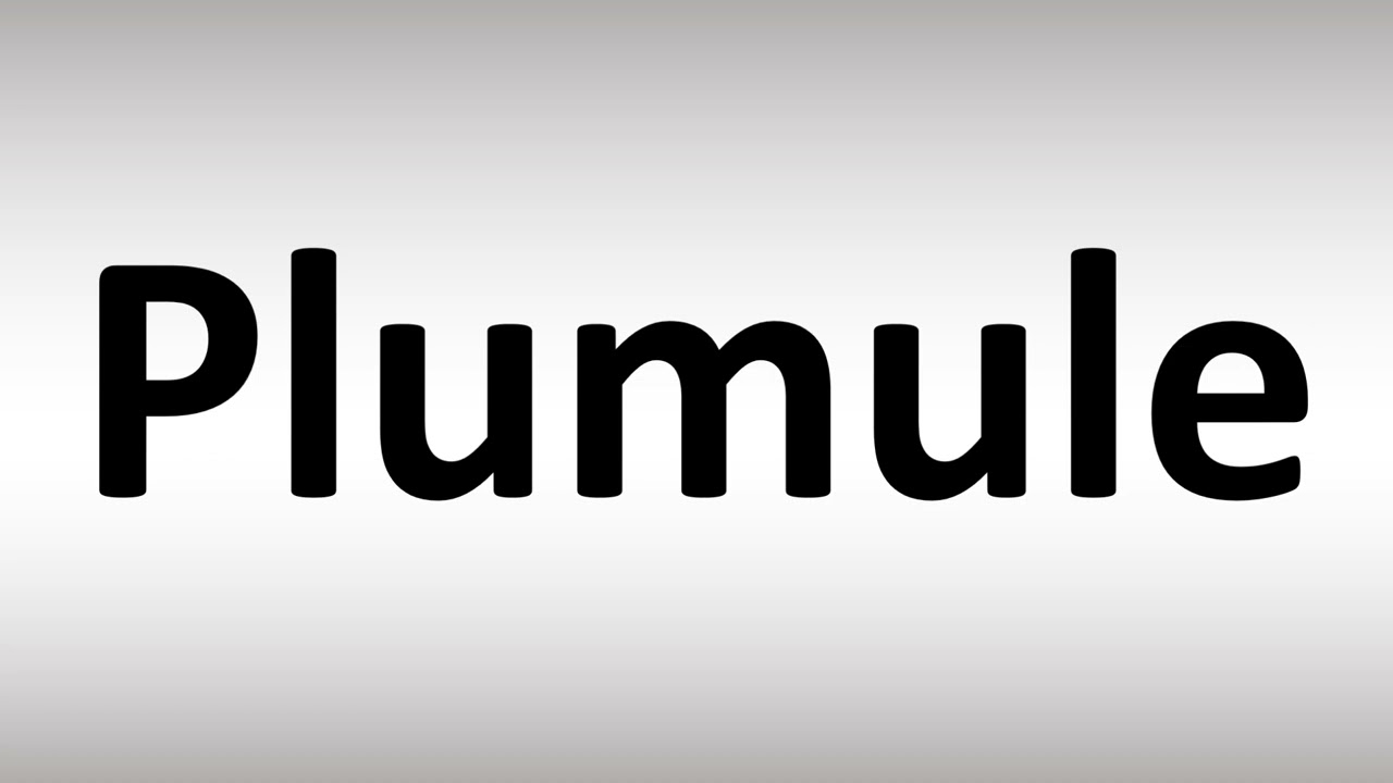 How to Pronounce Plumule - YouTube