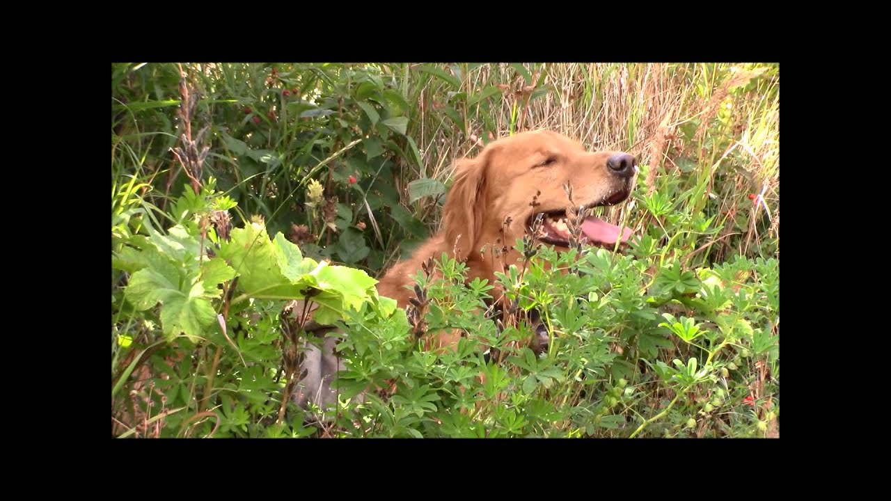 Hideout hike and Center Line Systems product testing - YouTube