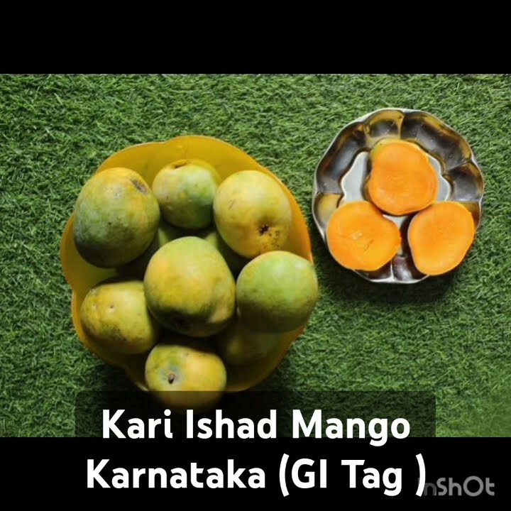 Kari Ishad Mango Karnataka ||| - YouTube