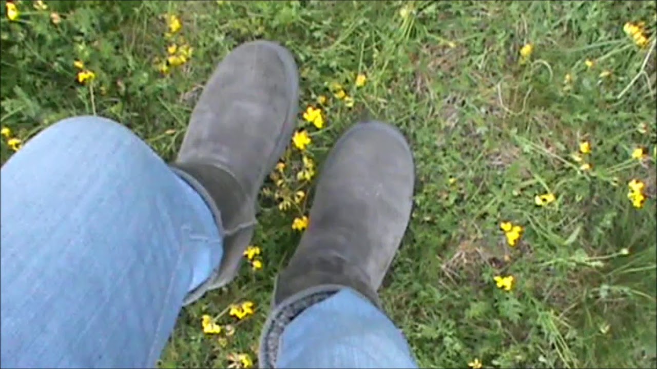 Crushing flowers in grey Ugg Classic Short - YouTube