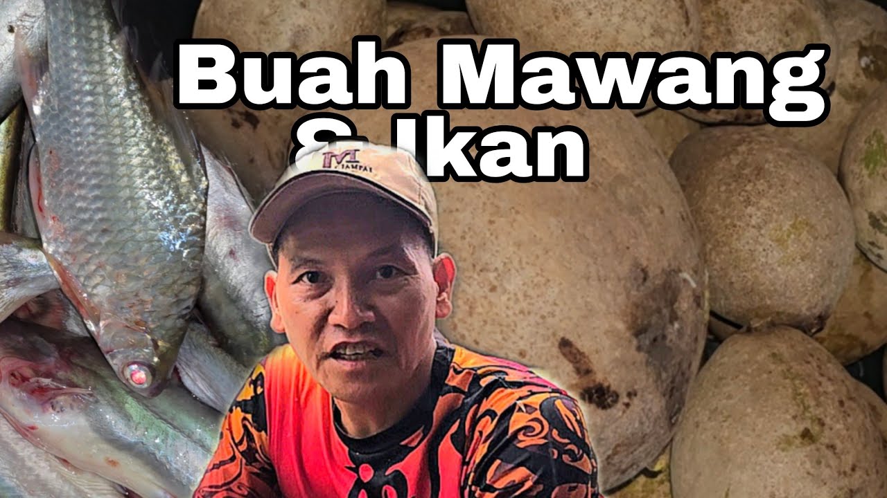 "Rezeki Hujan Renyai 😱🥰 - YouTube