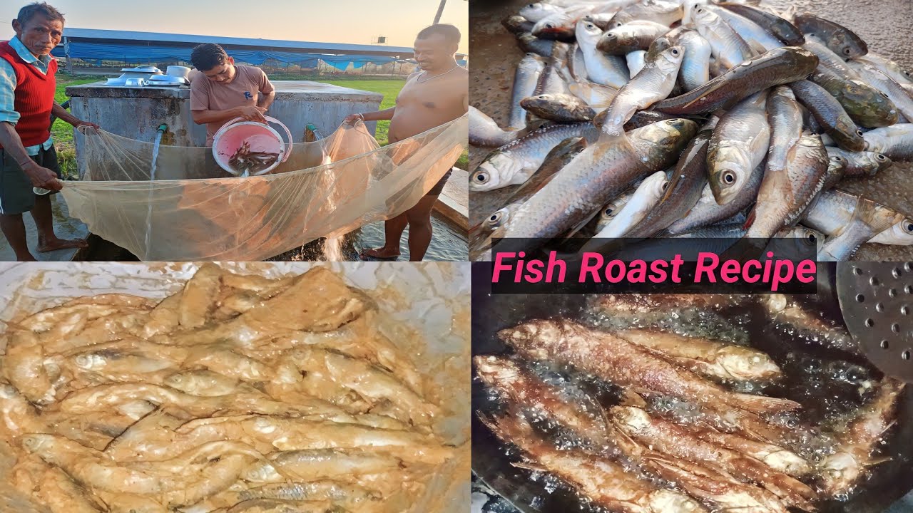 Traditional Style Fishing 🐬🐟️ & Cooking | Fish Roast Recipe | Fish Fry ...