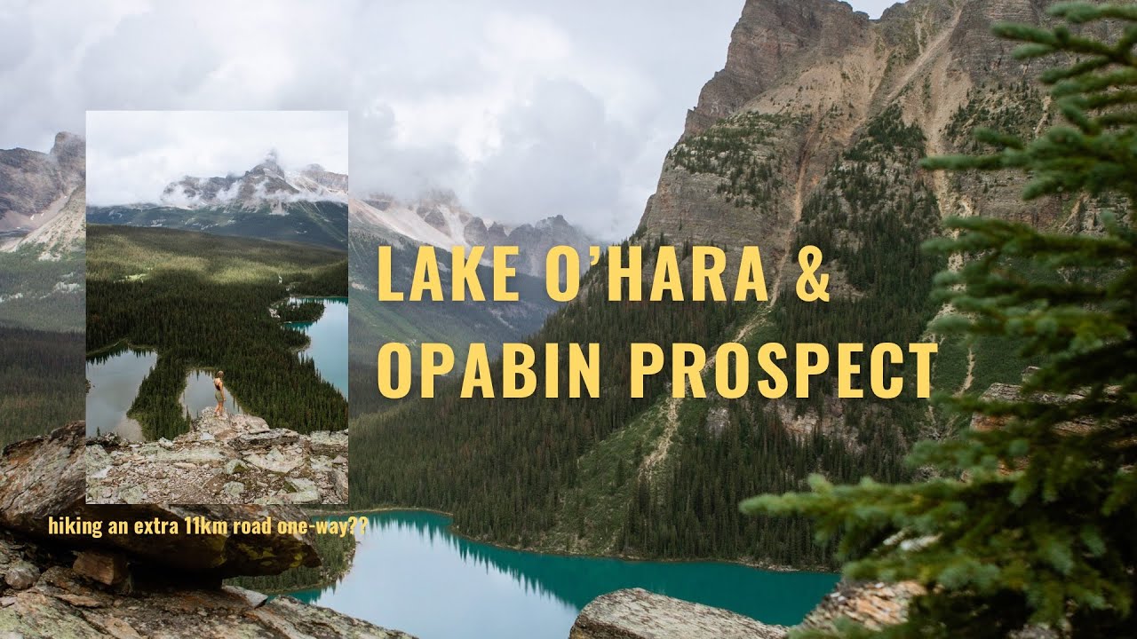 Hiking to Lake O'Hara and Opabin Prospect without bus passes! - 52 ...