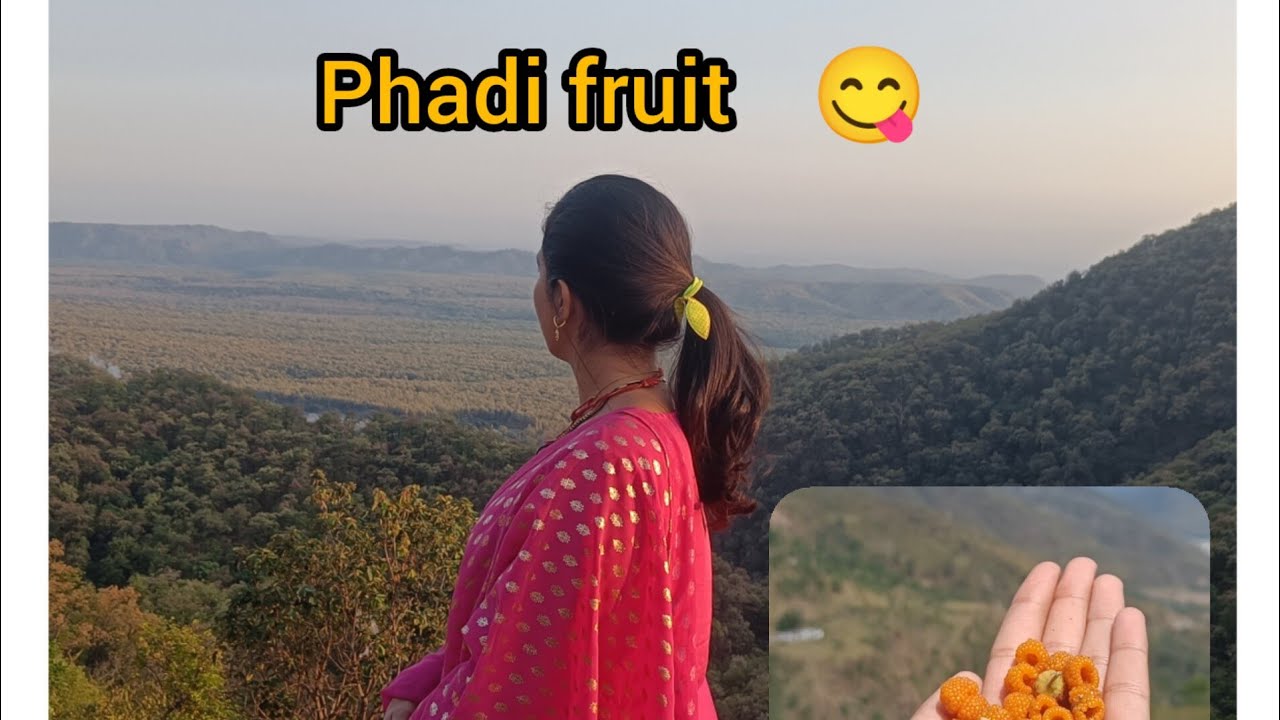 ##aaj hmne phadi fruit 🍑 khaye ## daily vlogs ##viral# Jyoti vlogs ...
