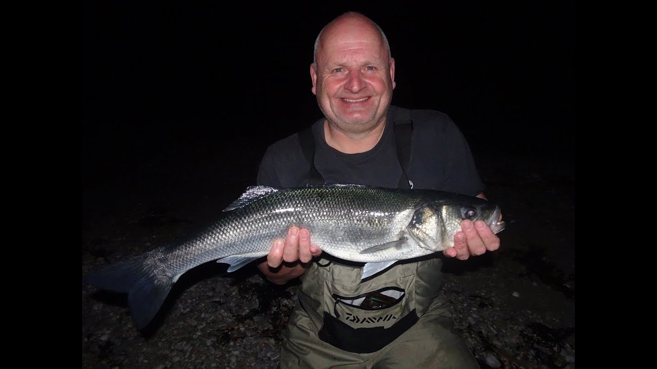 Near 8lb bass caught at night on a needlefish from south Devon returned ...