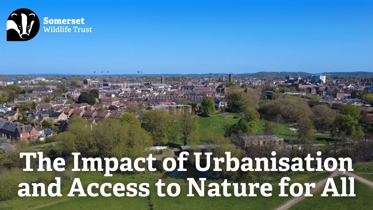 The Impact of Urbanisation and Access to Nature for All - YouTube