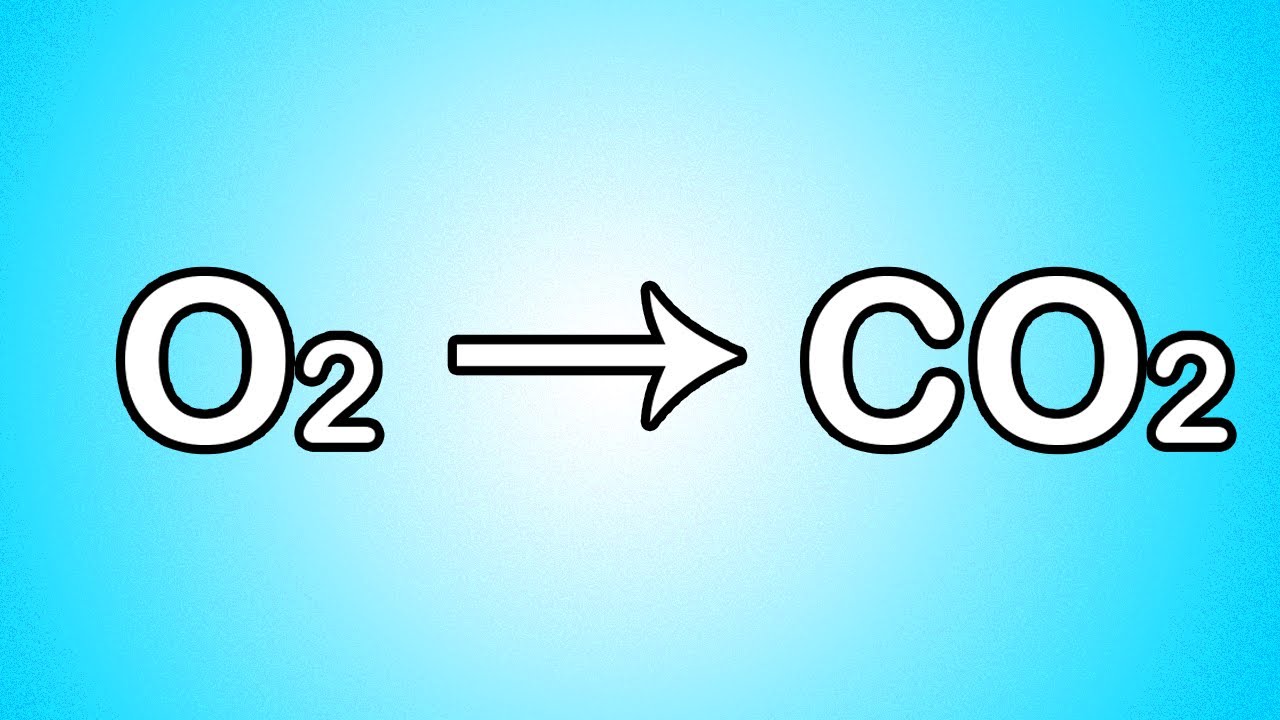If I convert O2 to CO2, the video ends - YouTube