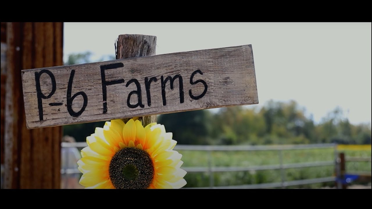 P-6 Farms Family Film - Montgomery, TX - YouTube