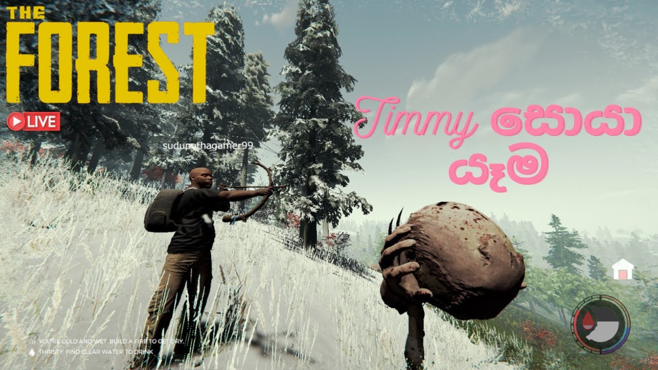 Timmy සොයා යෑම EP-04 | The Forest | #theforest #multiplayer #live #ep4 ...