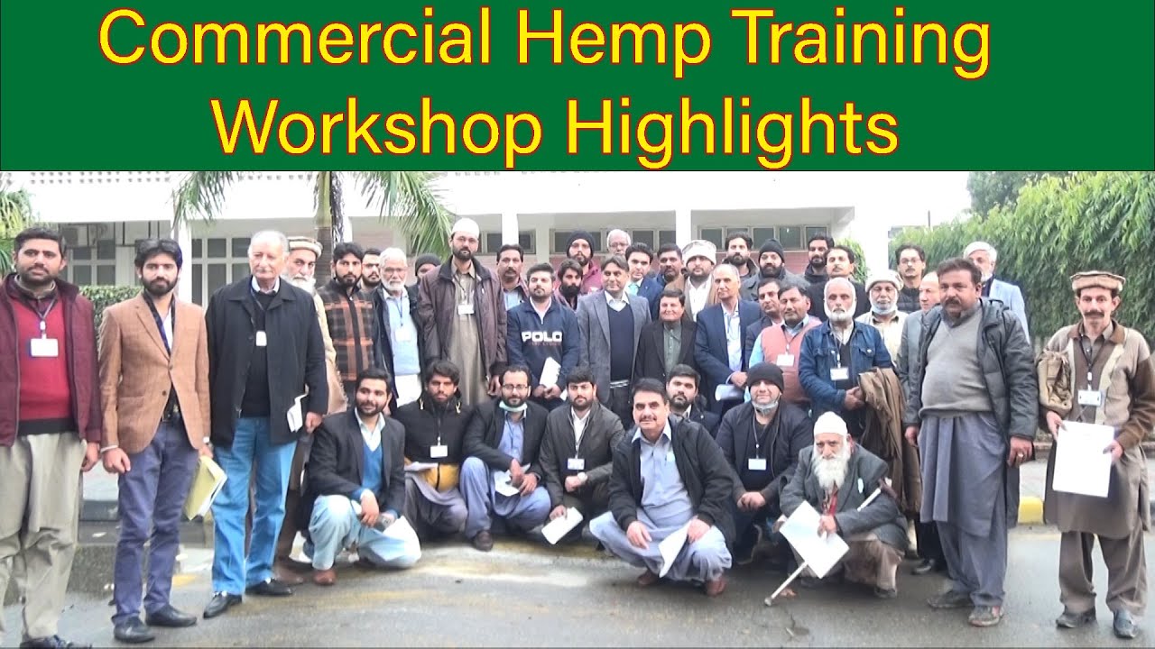 Commercial hemp cultivation trainig workshop highlights| How to grow ...
