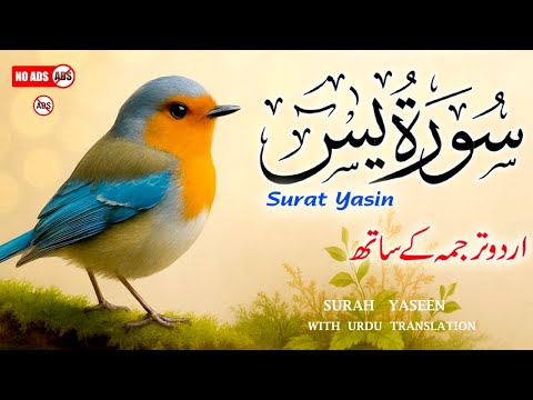 Surah Yaseen with Urdu Translation | Heart-Touching Recitation by Qari ...