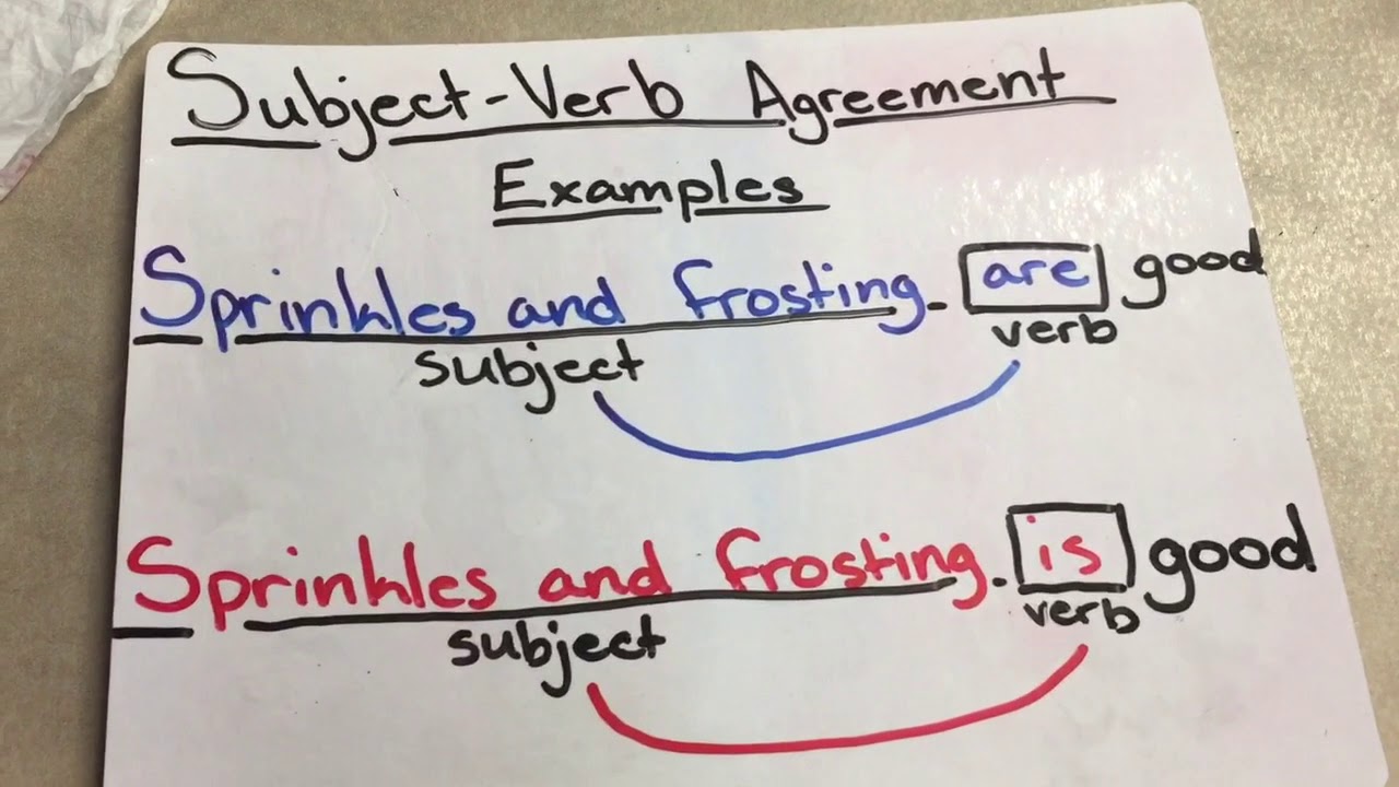 Subject-Verb Agreement- Plural Subject Example - YouTube