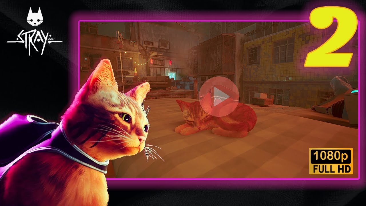Gaming as a Cat in Stray: Unique Adventure | PART 2 - YouTube