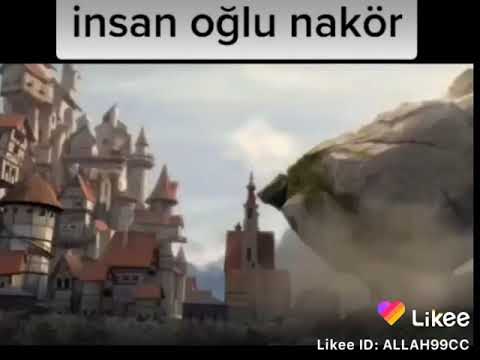 İnsan oğlu ışte bu kadar nankör