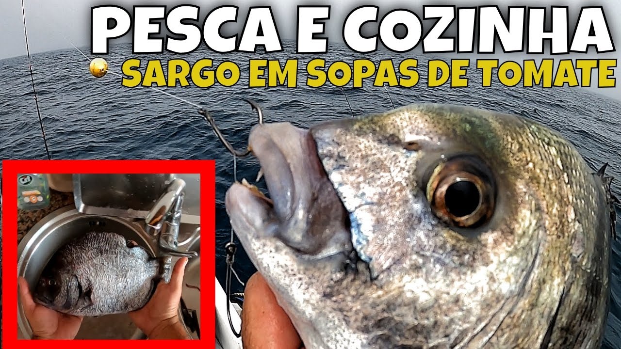 PESCA E COZINHA-SARGO EM SOPAS DE TOMATE RECEITA NA DESCRIÇÃO/ FISH AND ...