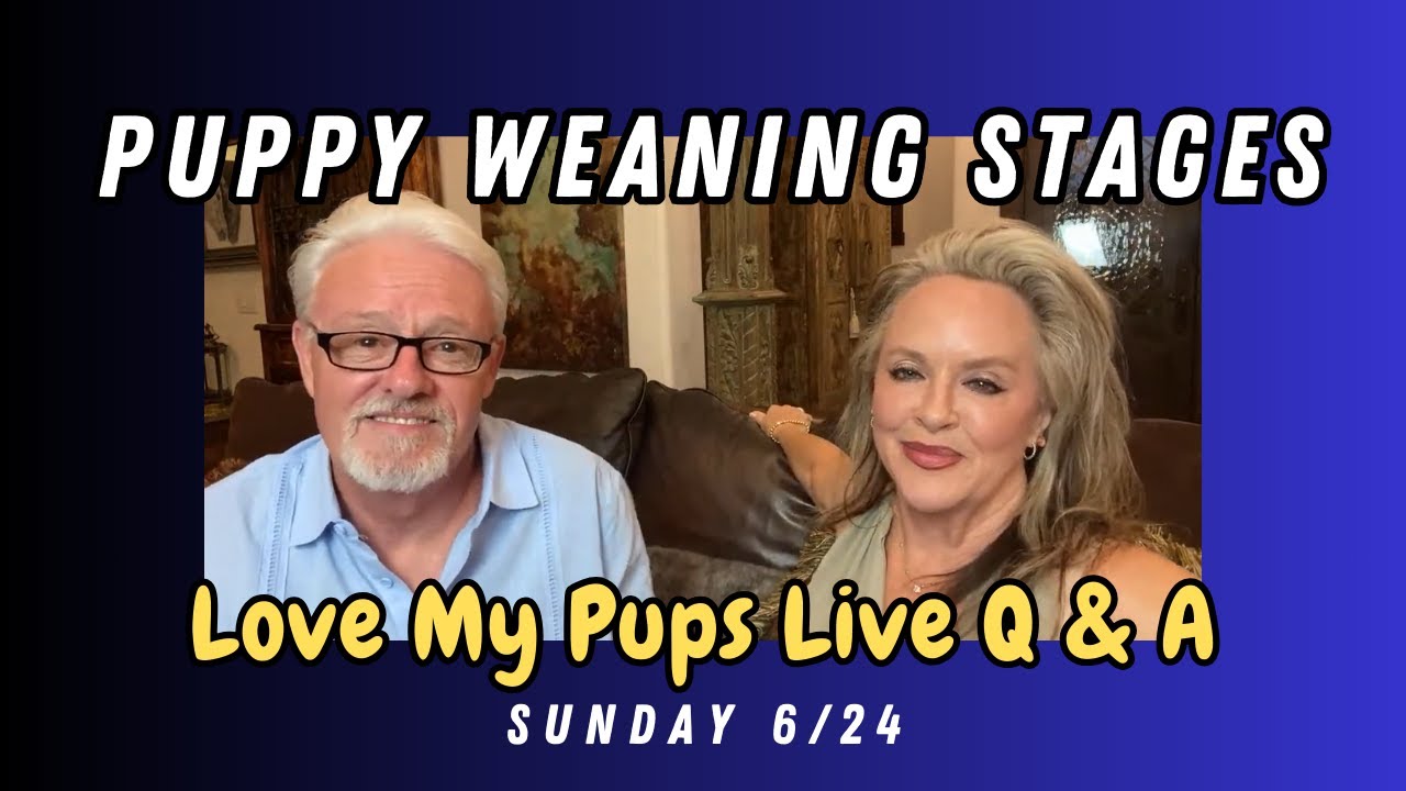 Love My Pups live sun 23rd - YouTube