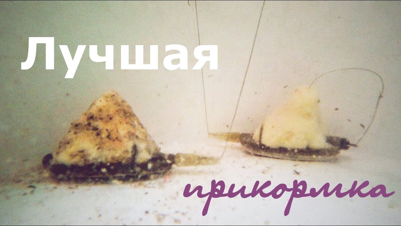 Самая эффективная прикормка для флэт-метода: работа в воде. - YouTube