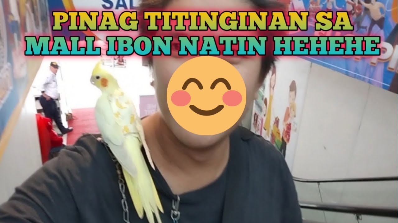 DAILY ROUTINE SAPAG AALAGA NG IBON AT GINAGAWA SA PAG BONDING NG IBON ...