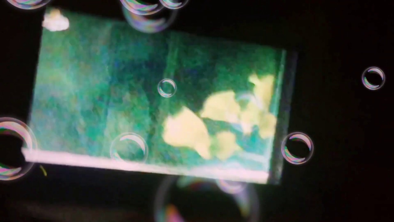 Baby tv Moon Yellow Fish(18) - YouTube