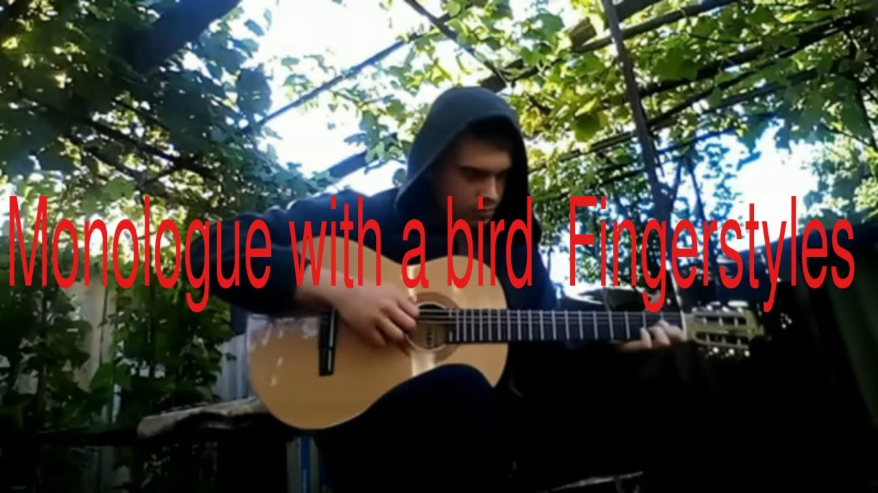 Monologue with a bird #Fingerstayle - YouTube
