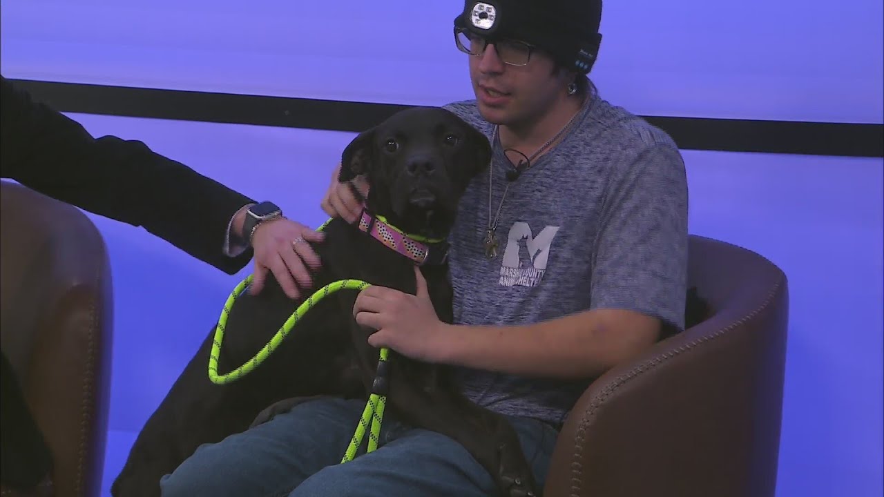 Pet of the Week: Giggles - YouTube