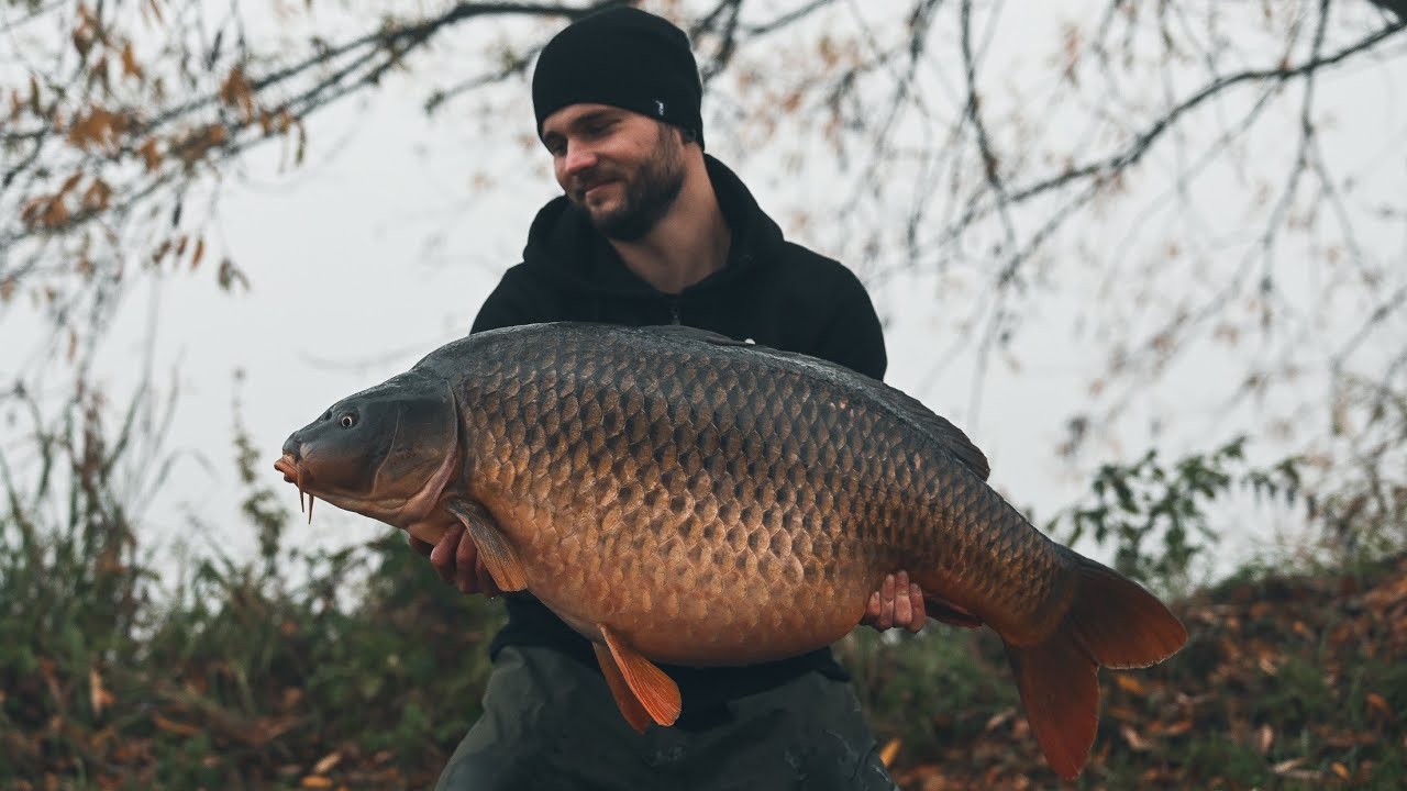 Carpfishing 2022 by Daniel Vlk - YouTube