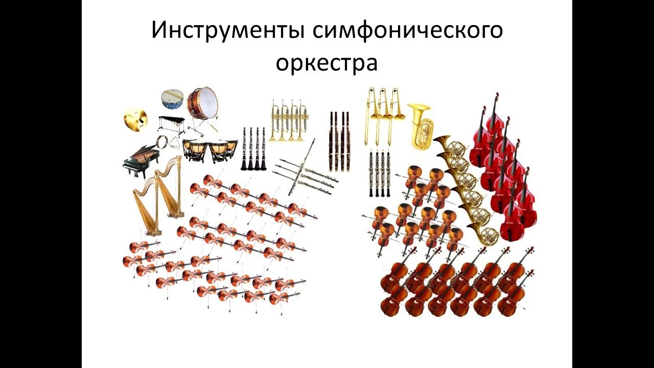 МУЗЫКАЛЬНЫЕ ИНСТРУМЕНТЫ СИМФОНИЧЕСКОГО ОРКЕСТРА Youtube