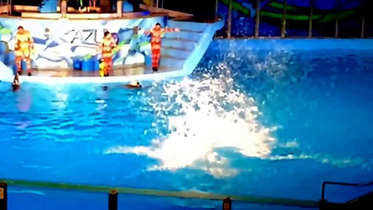 Seaworld San Antonio Azul 3-14-14 - YouTube