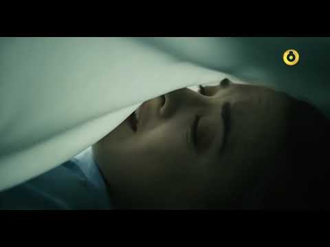 O Cadáver De Anna Fritz - 2015 TVRip Space DUBLADO