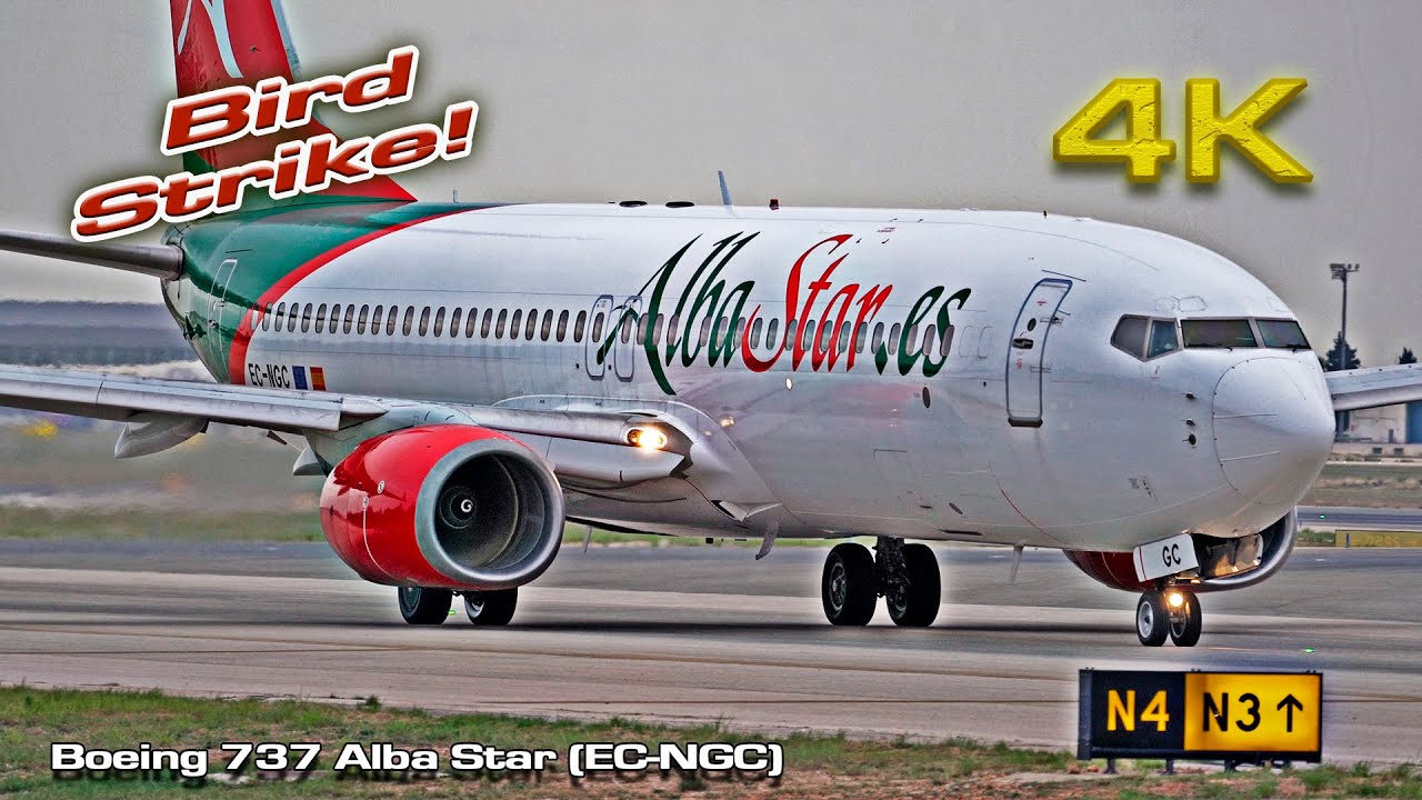 Boeing 737 Alba Star (EC-NGC) Bird Strike Valencia! - YouTube