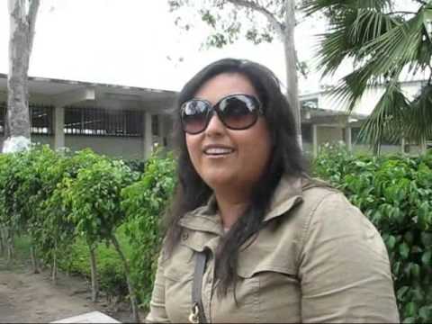 tribus urbanas los fresas - YouTube