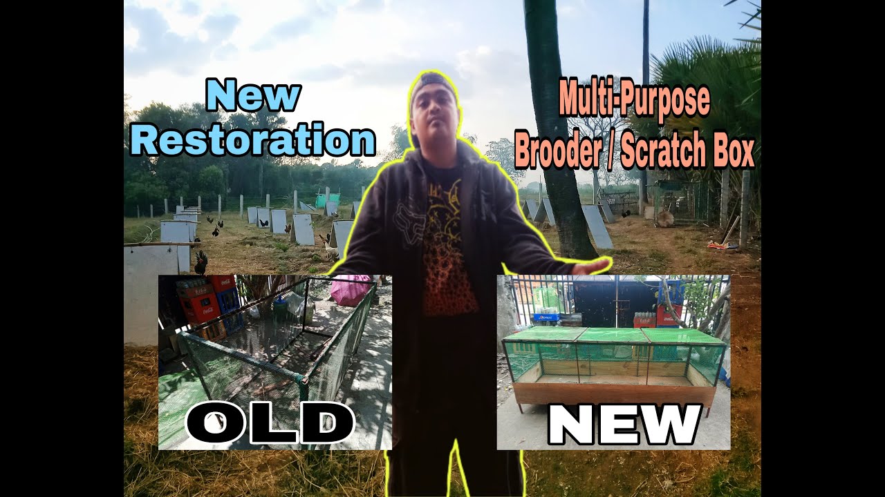 Multi-Purpose "Brooder + Scratch Box" / How to make Brooder + Scratch ...